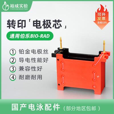 bio-rad 伯乐 小型转印（ 湿转）电极芯 转膜槽电泳配件westen bl