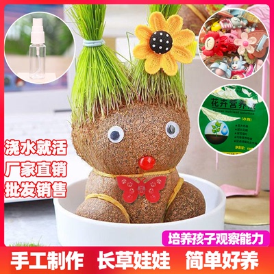 草头娃娃儿童好养幼儿园小盆栽