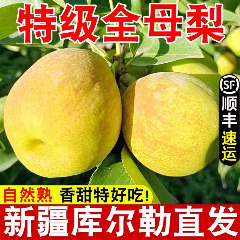 新疆库尔勒香梨正宗全母梨子新鲜当季水果孕妇可吃脆甜可口味香浓