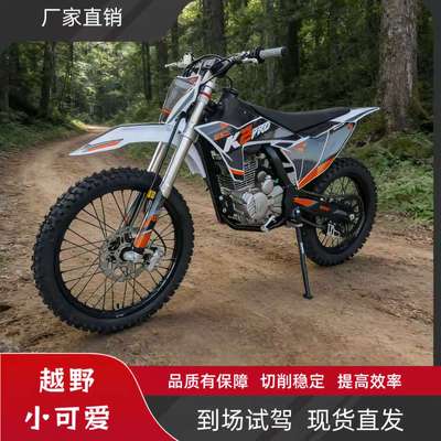 华洋K2Pro四冲程燃油越野赛车