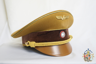 万圣节cosplay 小黄同款姜黄色宣传部长高级官员大檐帽