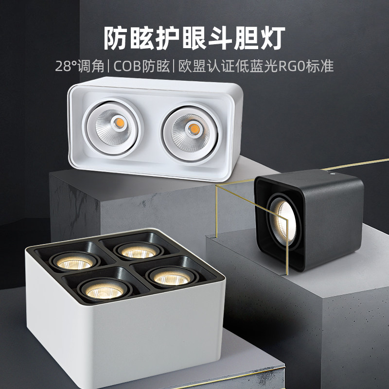 意大利EFE 明装筒灯斗胆灯四头双头防眩客厅无主灯天花灯单头过道