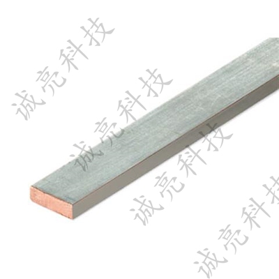 SSCH 10X3X1000  10*3铜镀锌汇流排 0348900000