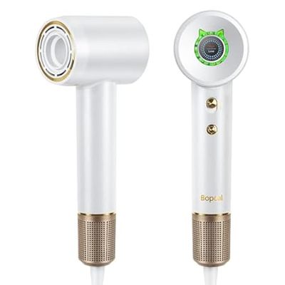 Ionic Hair Dryer Blow Dryer with Concentrator for All Hai