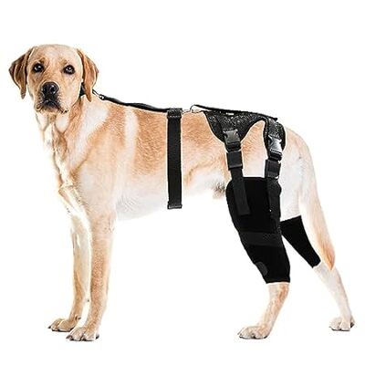 Dog Double Knee Brace， Support for Torn ACL Hind Leg， Lux