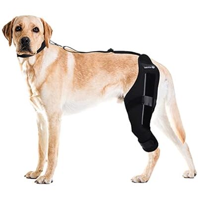 Dog Knee Brace， Support for Torn ACL Hind Leg， Luxating P
