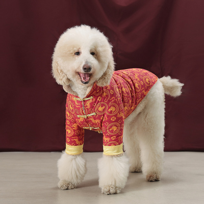 新年喜庆中大型犬狗狗衣服