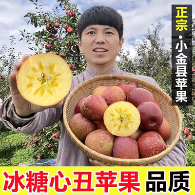 小金县高山糖心丑苹果
