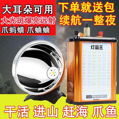 山拓强光12V分体户外灯