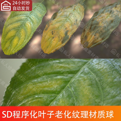 SD写实程序化树叶子随时间老化纹理材质球Substance Designer材质