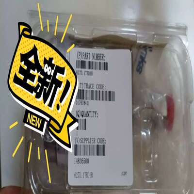 MFC-GF125-02-500SCCM SIH4 MFC议价