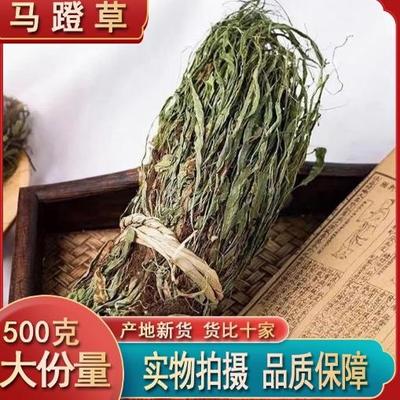 马蹬草50克中药材新货马蹬草正品无杂马蹬草过桥草 还阳草 小石韦