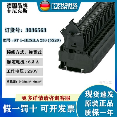 3036563 ST4-HESILA 250 (5X20)全新菲尼克斯保险丝接线端子