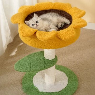 Cat Escalada Quadro Escada Escadas, Cat Tower Brinquedos, Fl