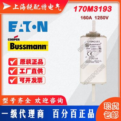 170M3193快速熔断器 1250V 160A 巴斯曼BUSSMANN快速熔断器