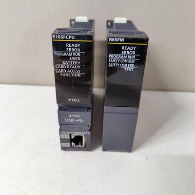 R16SFCPU PAIR VER.14 成色如图 轻