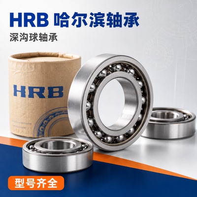 HRB哈尔滨深沟球轴承62186220