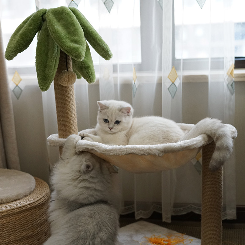 椰子树猫爬架 仙人掌猫窝耐磨不掉屑猫抓柱 大猫自嗨玩具
