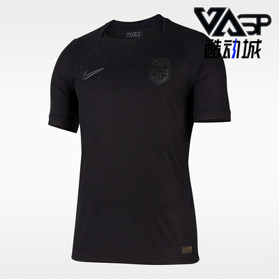 Nike/耐克正品Aero-FIT男士经典时尚透气短袖T恤IB5210-010