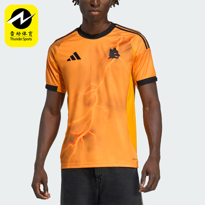 Adidas/阿迪达斯正品2025秋季款男士训练运动足球圆领短袖JJ4187