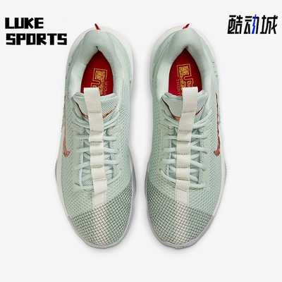 Nike/耐克正品Ambassador 13 男女透气轻便缓震篮球鞋CQ9329-300