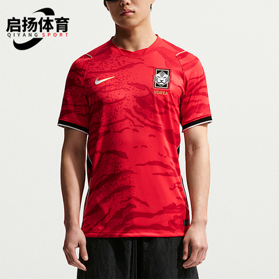 Nike/耐克正品Dri-FIT男士套头舒适经典训练短袖T恤IB5328-679