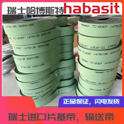 哈巴西PVChabasit瑞士输送带