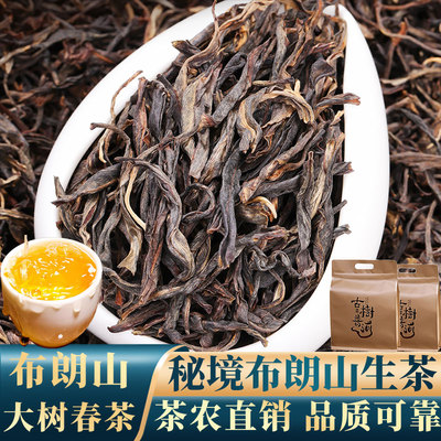 新茶春茶布朗山普洱茶生茶晒青散茶大叶种茶叶云南勐海普洱古树茶