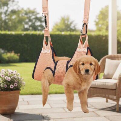 Anti Scratch Dog Grooming Hammock Hanging Bite Restraint