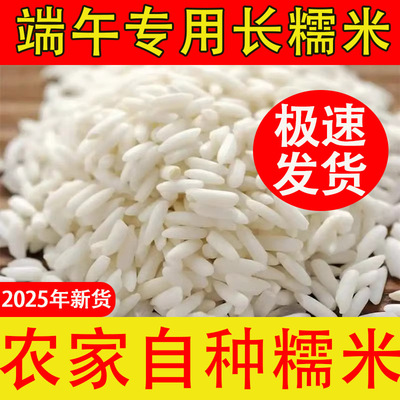 正品官方旗舰店2025年长粒糯米新米农家米白江米白糯米包粽子米