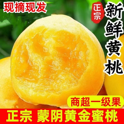 山东蒙阴黄桃4.5斤新鲜水果现摘蜜桃子当季整箱