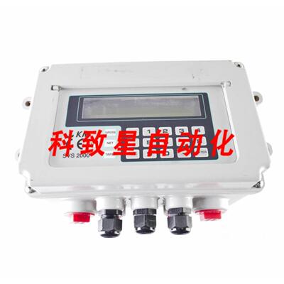 工业配件REMBE SVS 2000 SVS2000 重量指示器