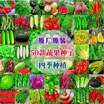Vegetable seeds sown throughout the year, potted plants, ba
