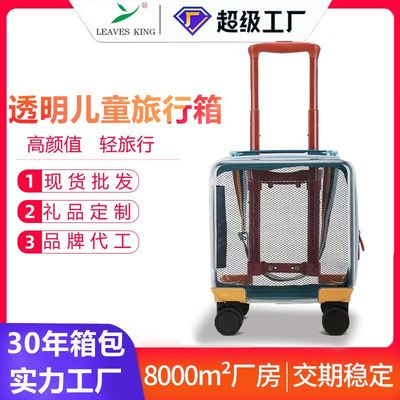 14寸透明可爱儿童拉杆行李箱旅行箱耐磨带绳宠物箱需打孔礼品定制