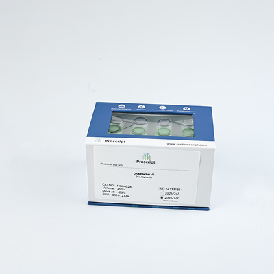 DNA Marker VII MB04028 高纯度科研试剂 高性价比现货供应