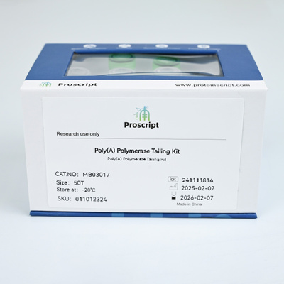 Poly(A) Polymerase Tailing Kit MB03017 科研试剂 现货供应
