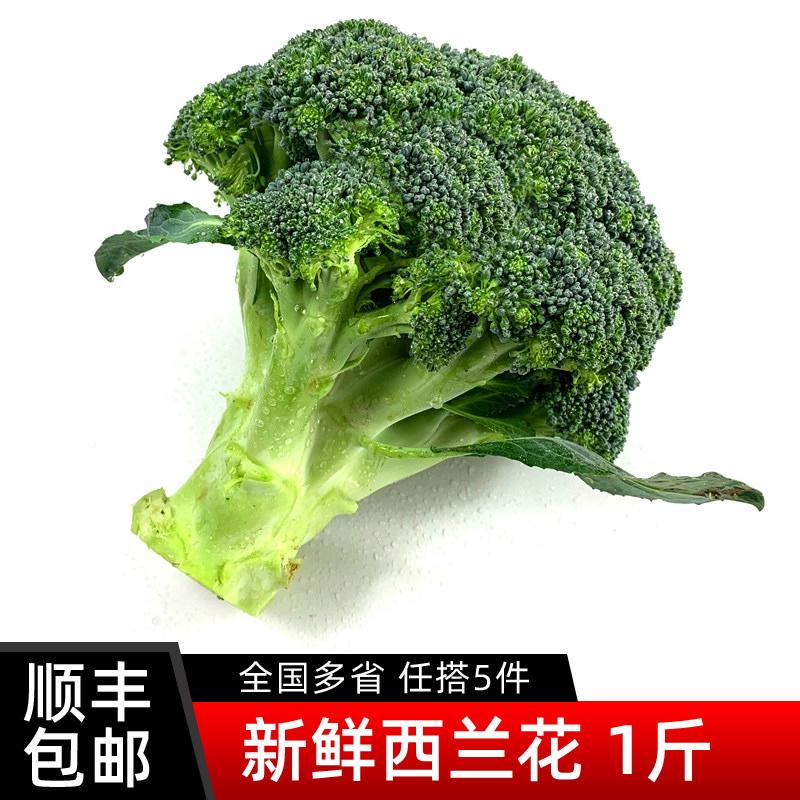 新鲜西兰花 脆嫩青花菜绿花菜西蓝花椰菜时令蔬菜 满5件包邮