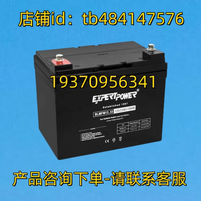 EXPERTPOWER蓄电池 EXPERTPOWER BLMFM12.33 12V33AH/10HR 电池