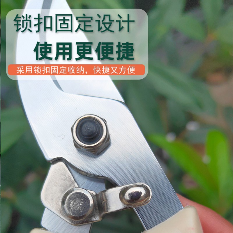 佐川田果树修枝剪剪枝剪园艺修花整枝剪园林省力修剪粗枝树枝剪刀