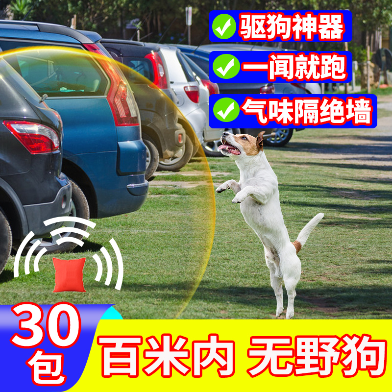 赛级加菲猫幼猫宠物猫异国短毛猫家养纯种幼猫活体净樊弟弟加菲w虎窝淘