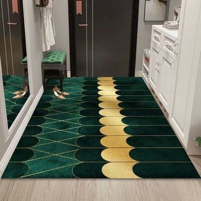 新品iDecorative entrance living room simple doorwUagy carpet