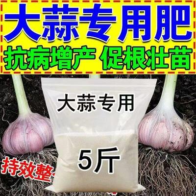 大蒜猛长专用专用肥膨大素防干尖防病害增产粗壮高产新型肥料