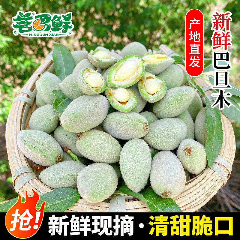 新鲜巴旦木青皮鲜果现摘当季薄脆原味巴旦木坚果仁杏仁扁桃仁农家