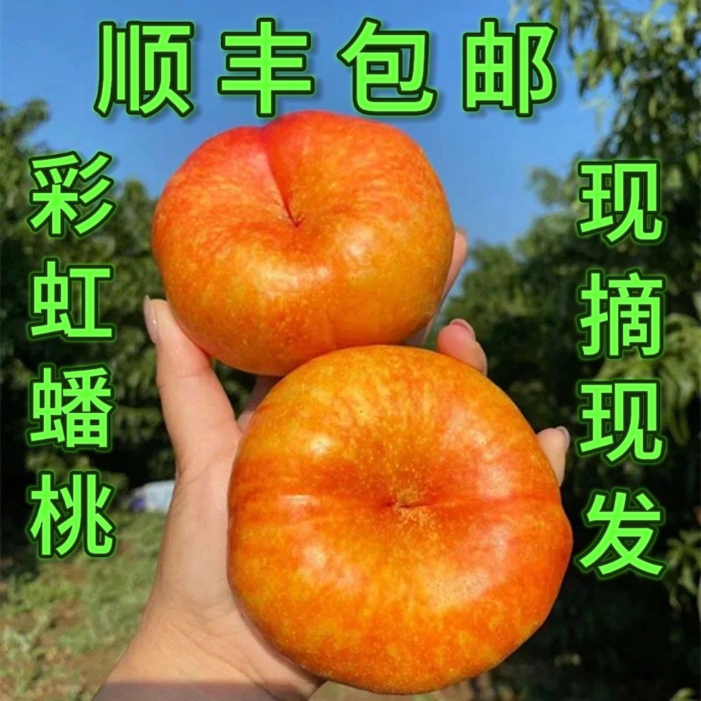 顺丰包邮新鲜水果山西黄金油蟠桃彩虹油蟠桃水蜜桃脆甜现摘4-8斤