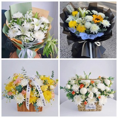 大连沙河口甘井子旅顺口区菊花鲜