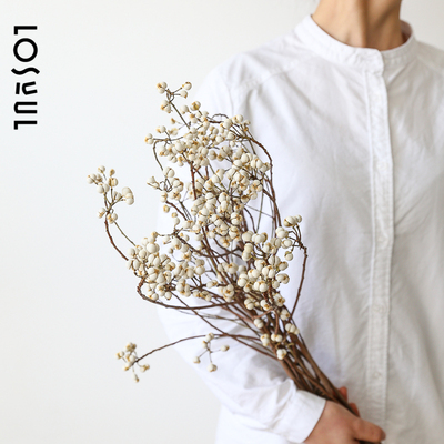 乌桕天然干花原生ins风各类花束室内桌面装饰摆设摆件道具