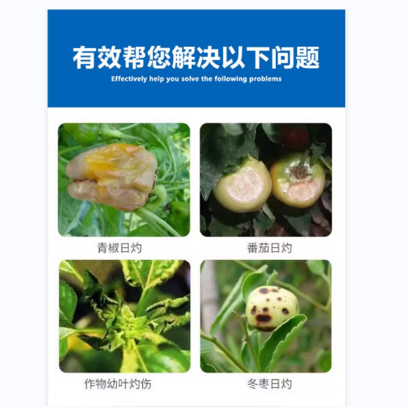速发大棚降温剂大棚专用降温剂涂料防晒遮阳剂降温剂涂料棚膜防晒