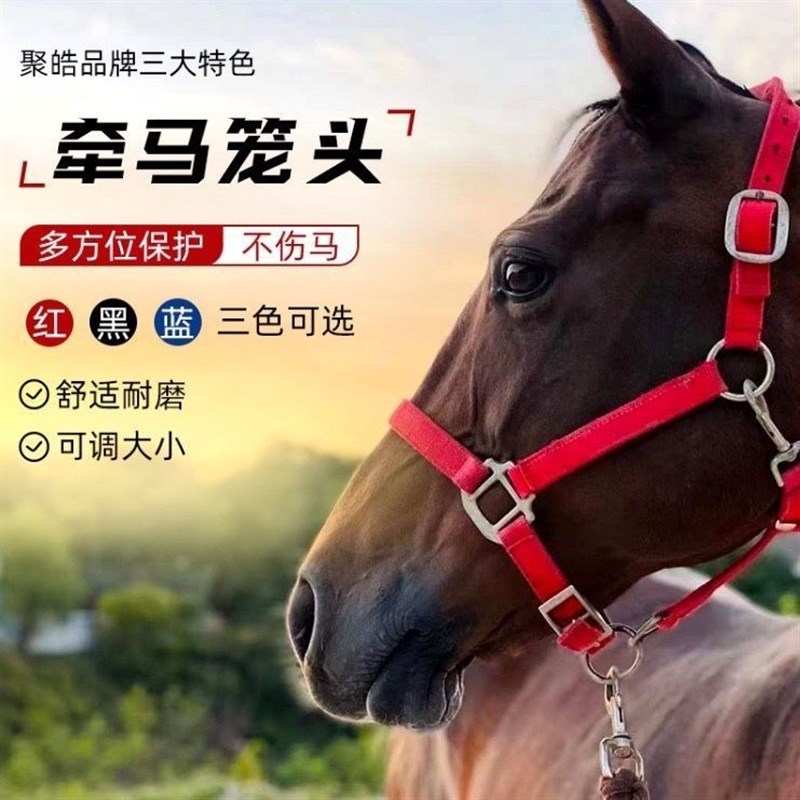 现货君杰马具马术用品马笼头牵引笼套马房牵马驯马工具驴骡子矮马