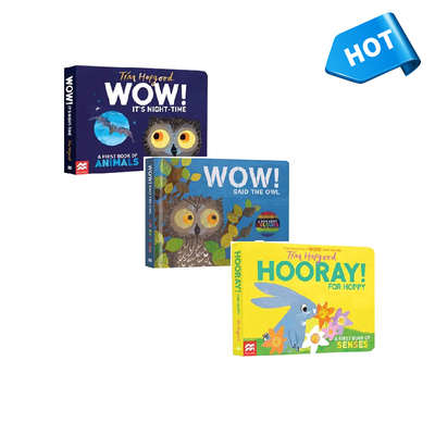 麦克米兰美育绘本小猫头鹰看世界