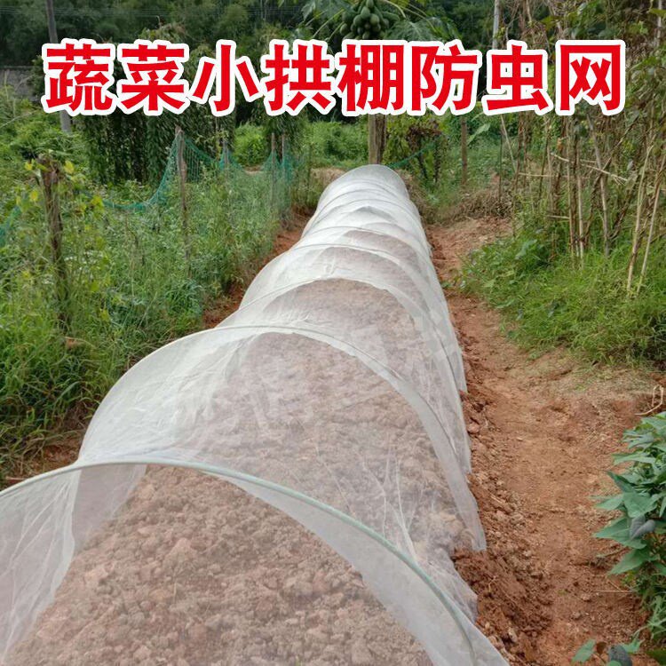 新防虫网猪场养殖大蔬菜防蚊目农用品专用棚加密60厂销果加厚Hi.